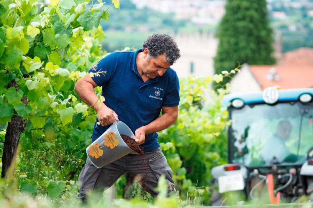 Marqués de Vizhoja y el proveedor de café de Inditex crean un proyecto ...