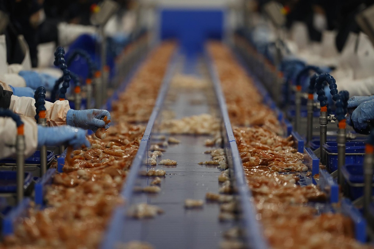 El ranking del mar: Pescanova y Profand, líderes en ventas frente a los ...