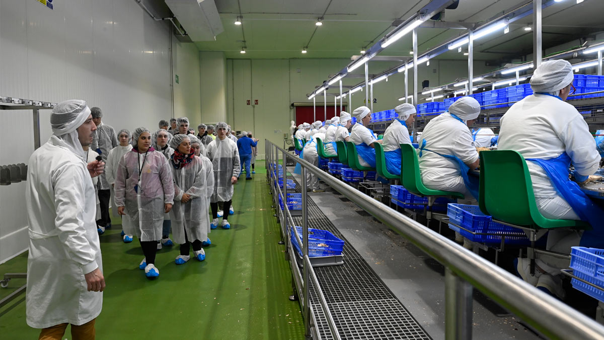 Jealsa desvela su estrategia laboral: el 62% de sus empleados están en ...