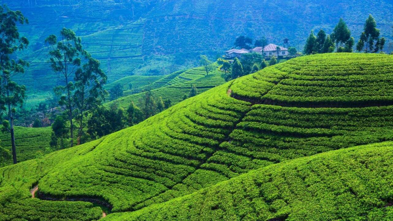 Diez destinos asiáticos para visitar en 2017