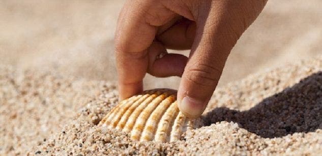 El turismo masivo vacía la costa española de conchas - Tendencias Hoy