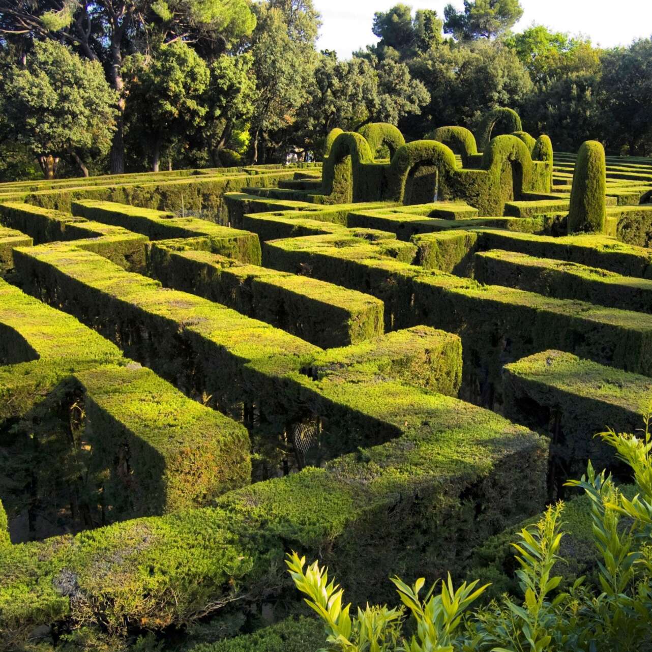 Cinco laberintos para perderse en la primavera - Tendencias Hoy