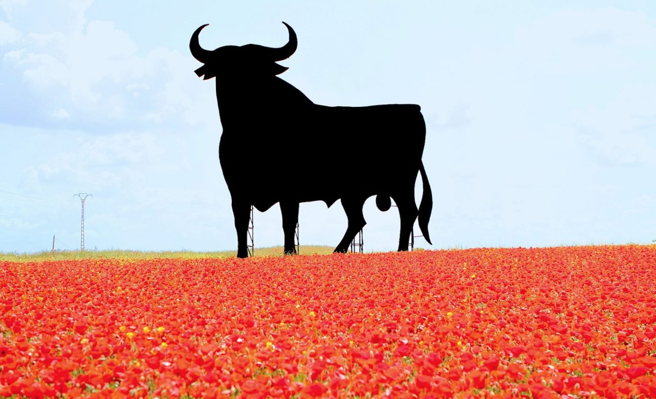 La historia desconocida del toro más famoso de España