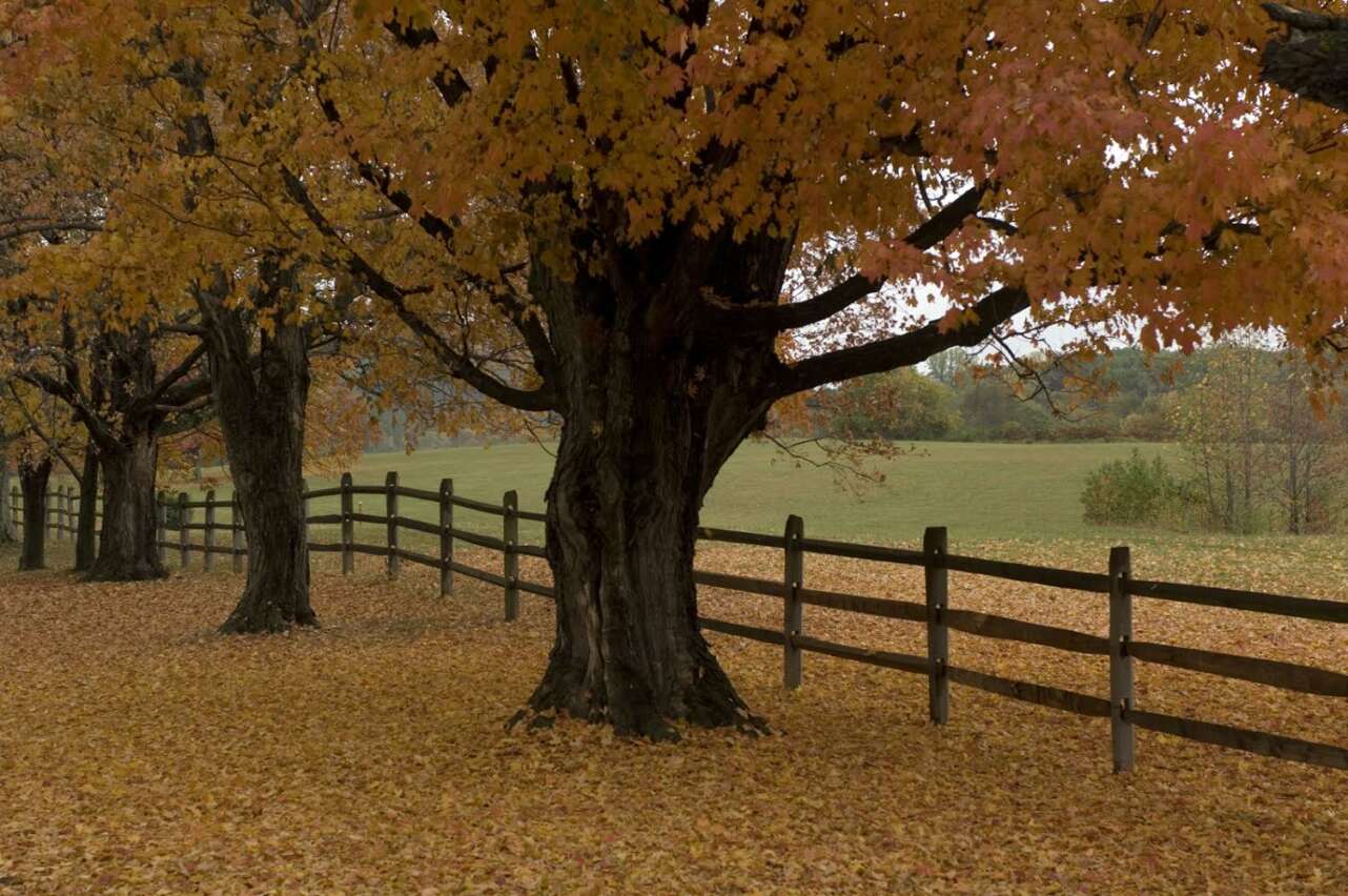 Los diez destinos dorados (y semi-ocultos) del turismo mundial