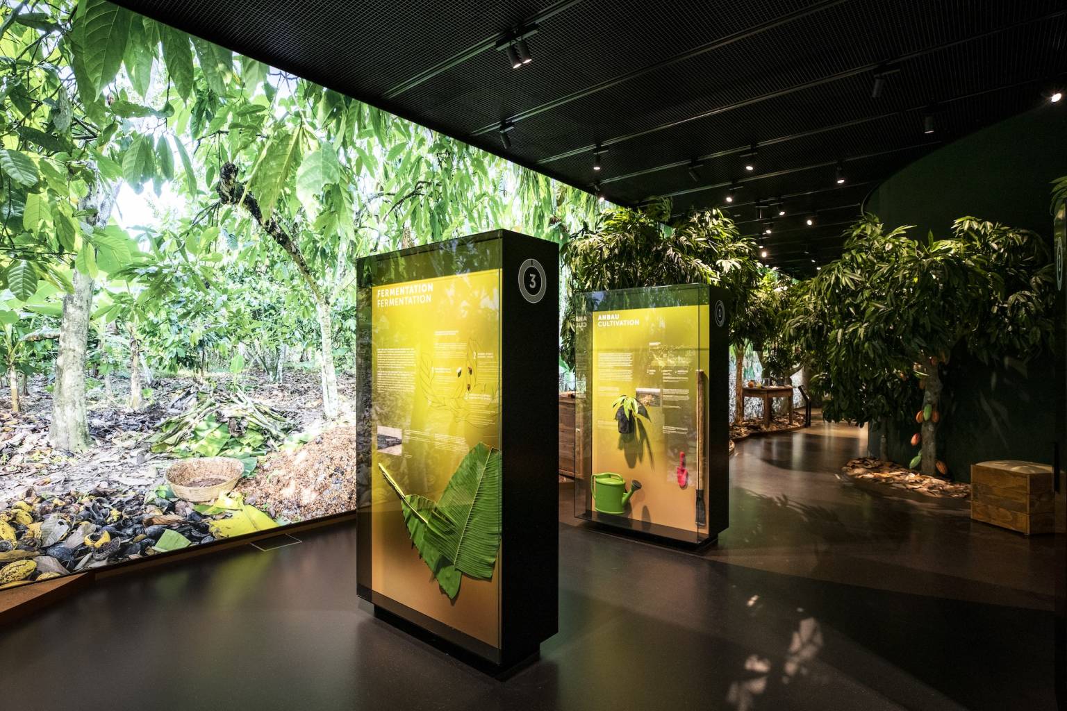 Paraíso de chocoadictos: así es el museo de chocolate más grande del ...