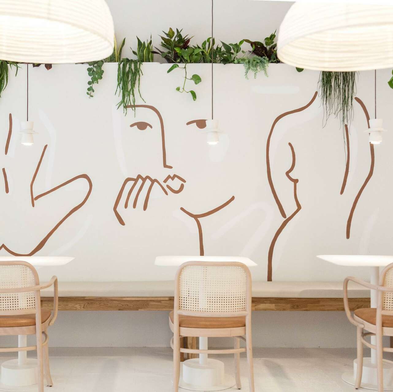 Naji, Devotos y Agrado Café, así son las nuevas cafeterías de ...