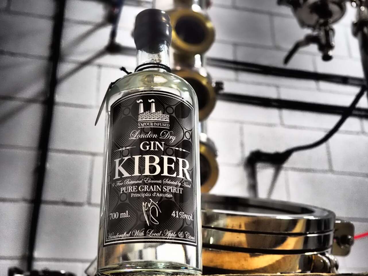 Las mejores cinco ginebras artesanas españolas