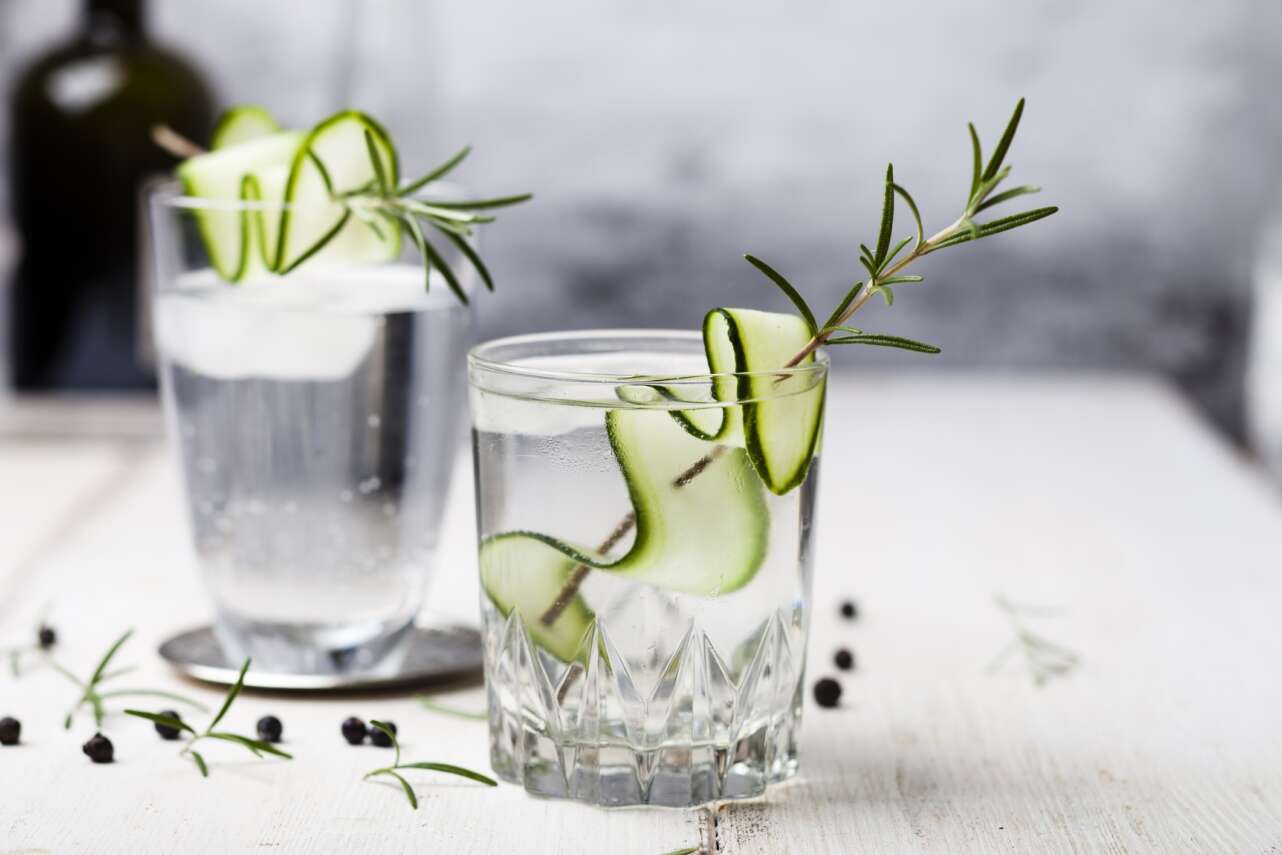 Las mejores cinco ginebras artesanas españolas