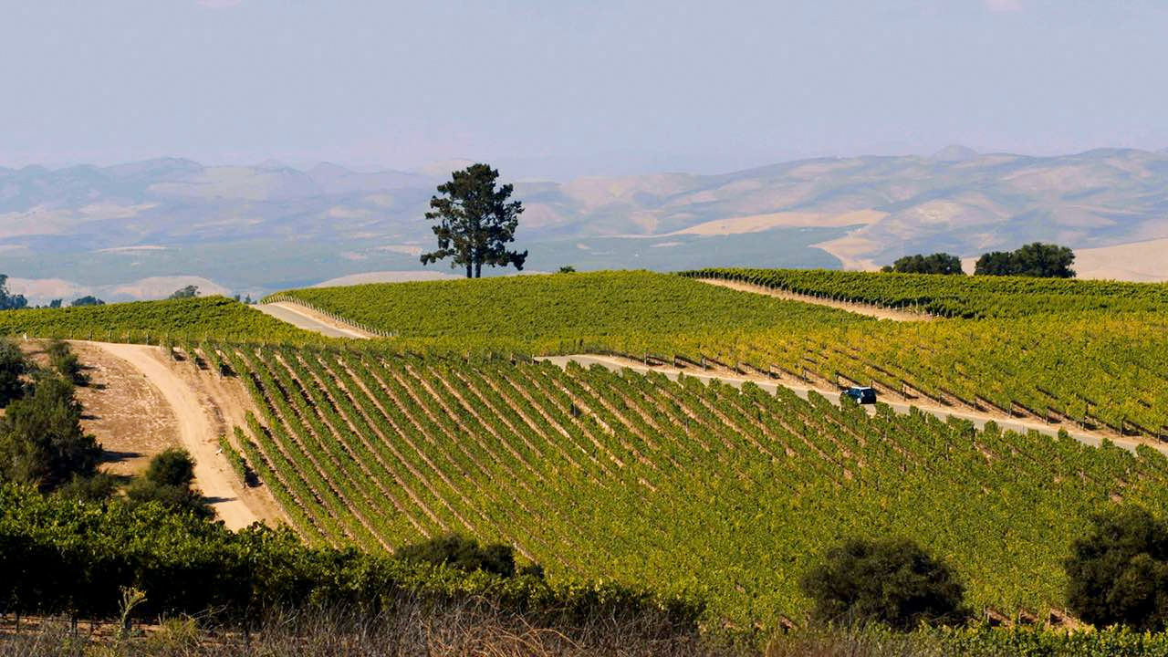 Este pueblo de California paga a los turistas que lo visiten