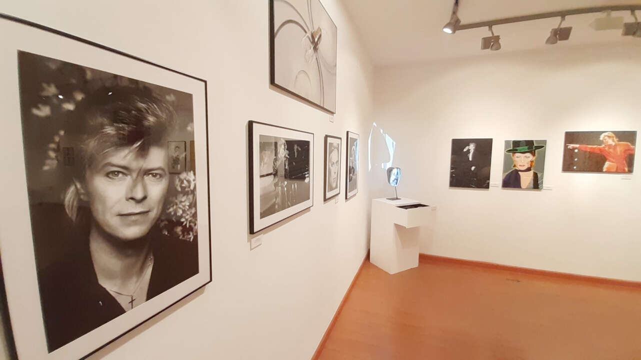 León se rinde ante David Bowie