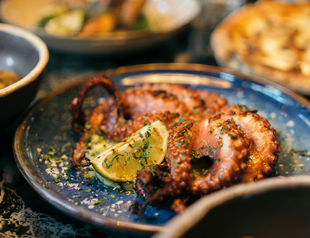 Organik Parriya: la revolución de la comida orgánica toma Madrid