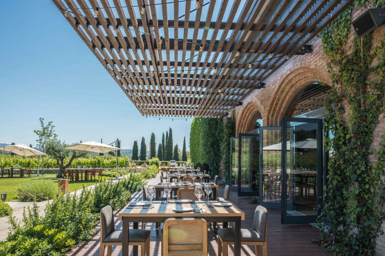 Familia Torres: vinos que condensan el sabor del terroir - Tendencias Hoy