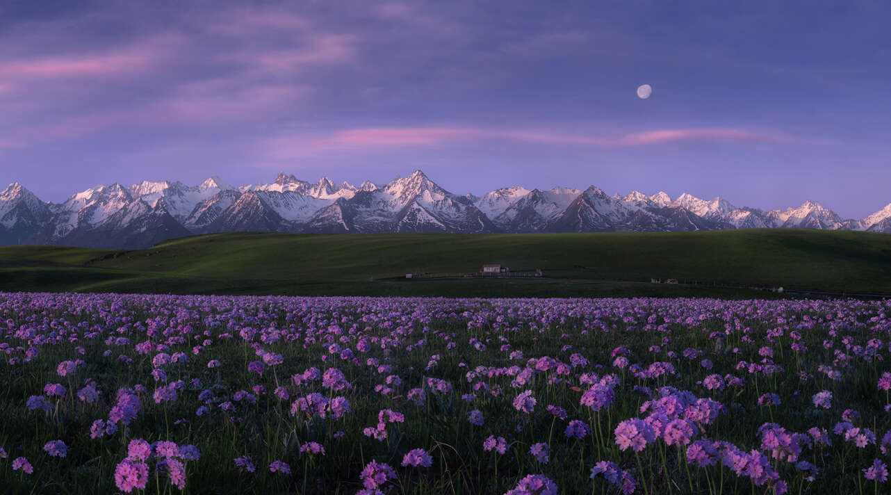 Las fotos panorámicas que revelan un mundo nuevo