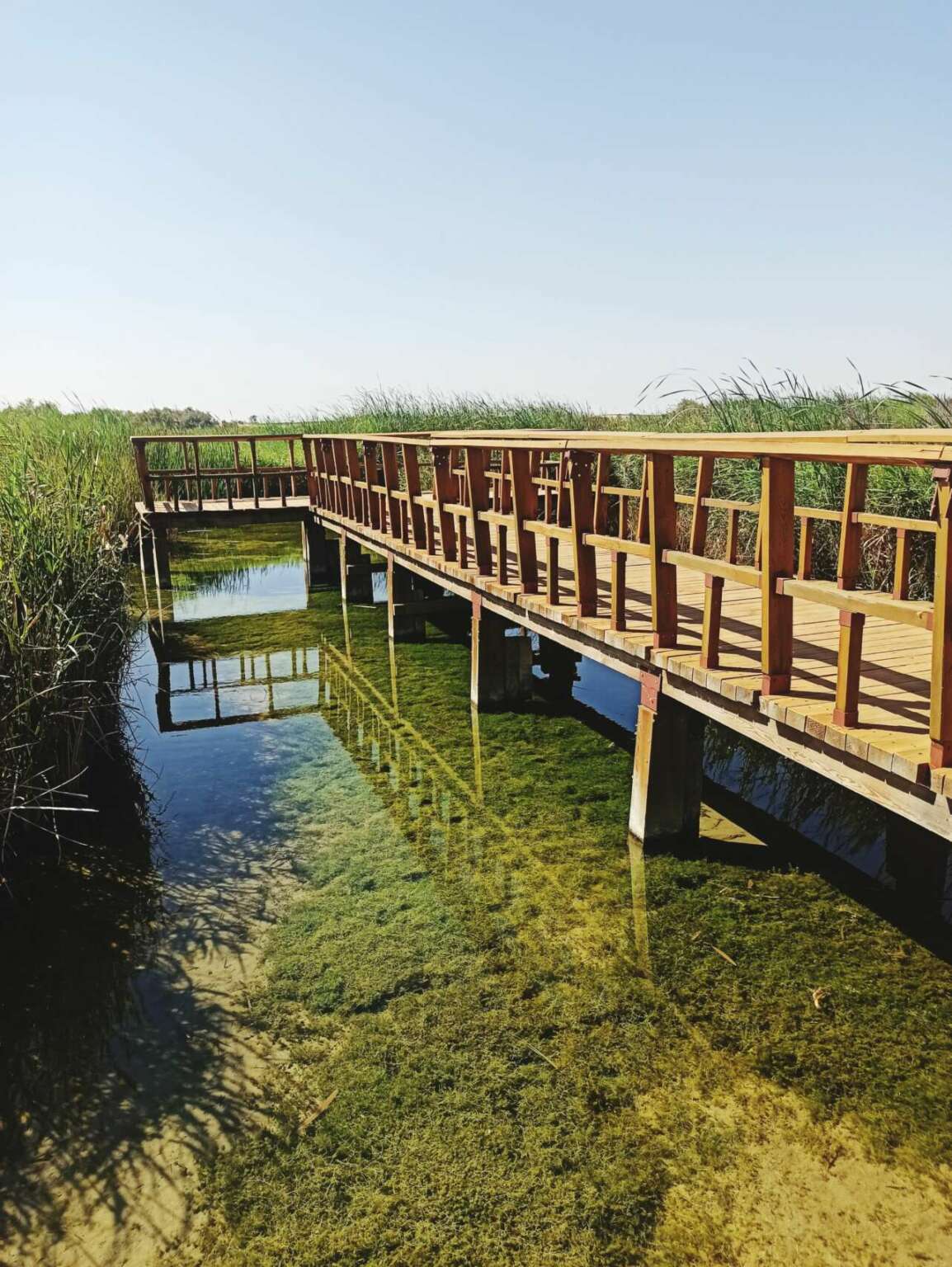 Isla del Pan: ya puedes recorrer la ruta más icónica de las Tablas de ...