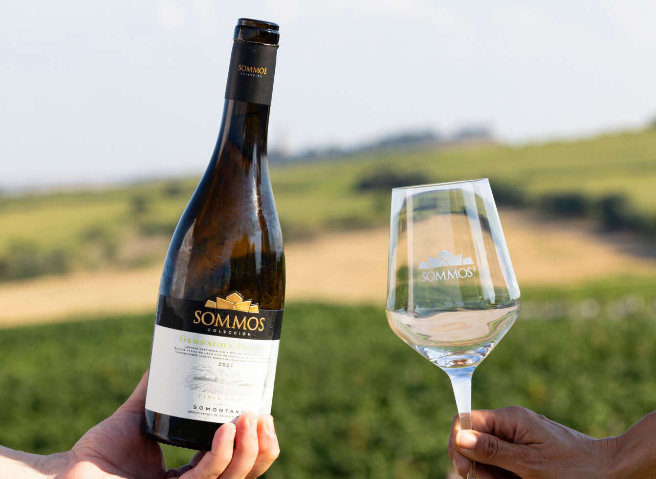 5 vinos con garnacha blanca para disfrutarlos bien fríos