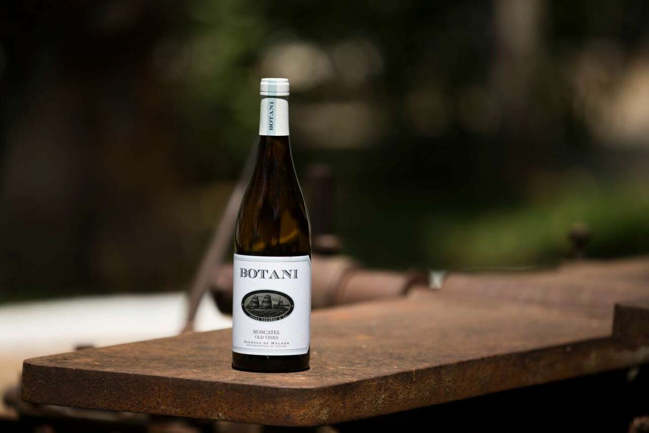 El mejor vino blanco español es un moscatel malagueño que no llega a 14€