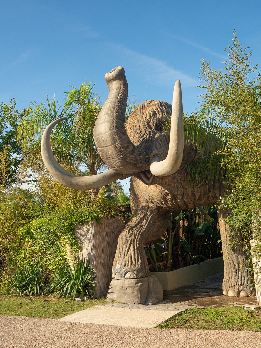 Mamut, o por qué un ‘beach club’ también es para el invierno