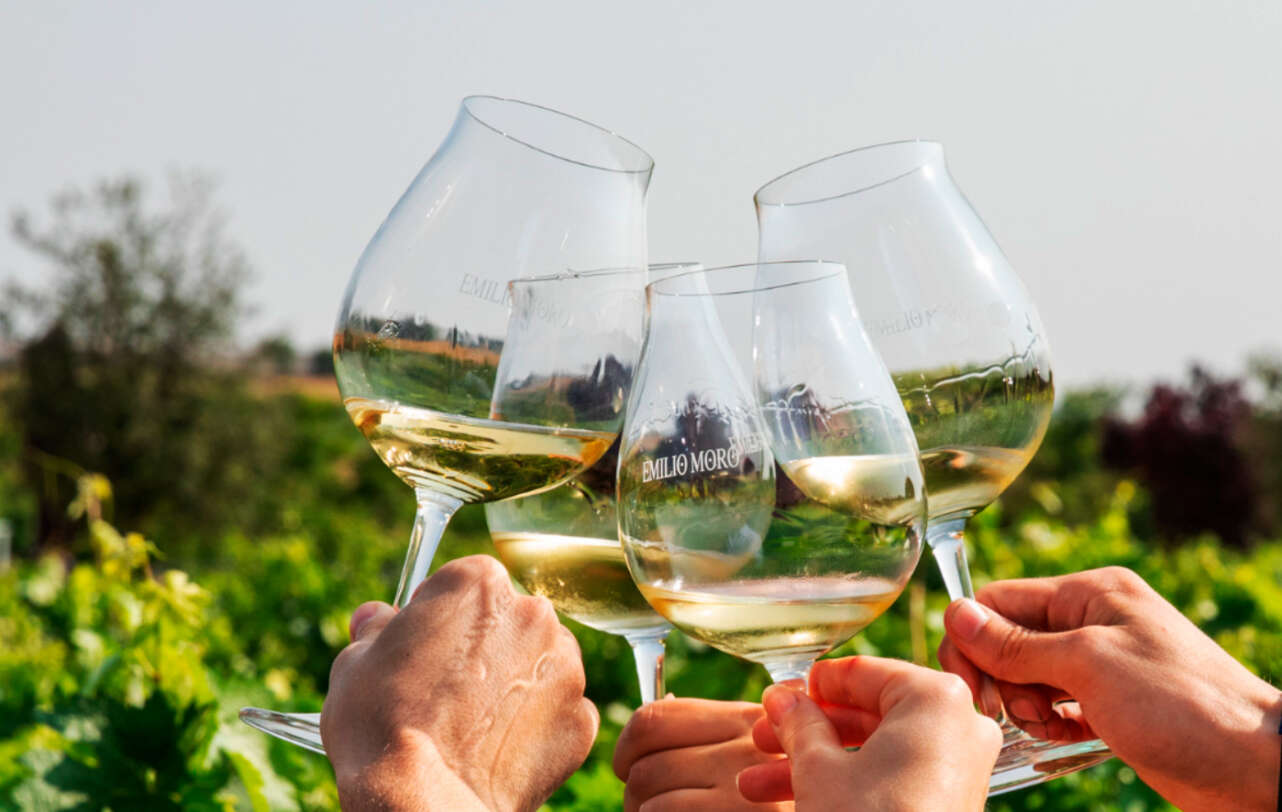 5 grandes vinos godello: los blancos que siempre dan la nota